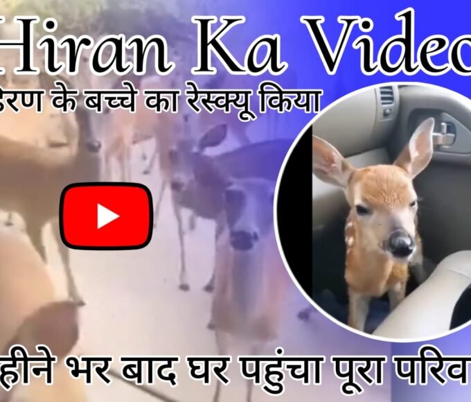 Viral Video - बर्फीली ठण्ड में शख्स ने खौलता पानी उछाला
